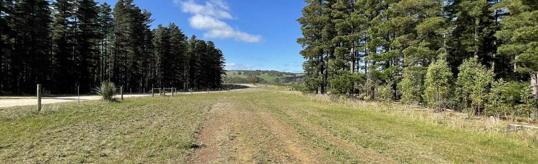 Kuitpo Forest Walk: 65 Fotos - South Australia, Australien | AllTrails