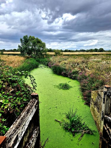 2023 Best Walking Trails in Fen Drayton Nature Reserve | AllTrails