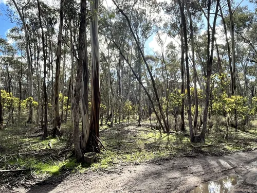 Best Hikes and Trails in Heathcote-Graytown National Park | AllTrails