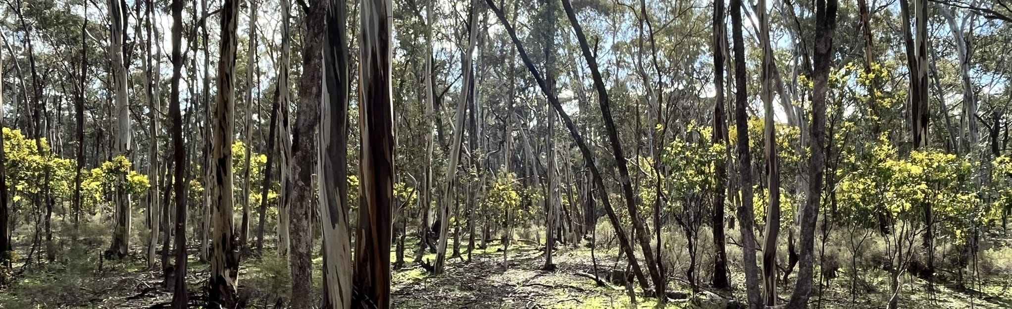 Graytown POW Camp and Cemetery: 2 Reviews, Map - Victoria, Australia ...