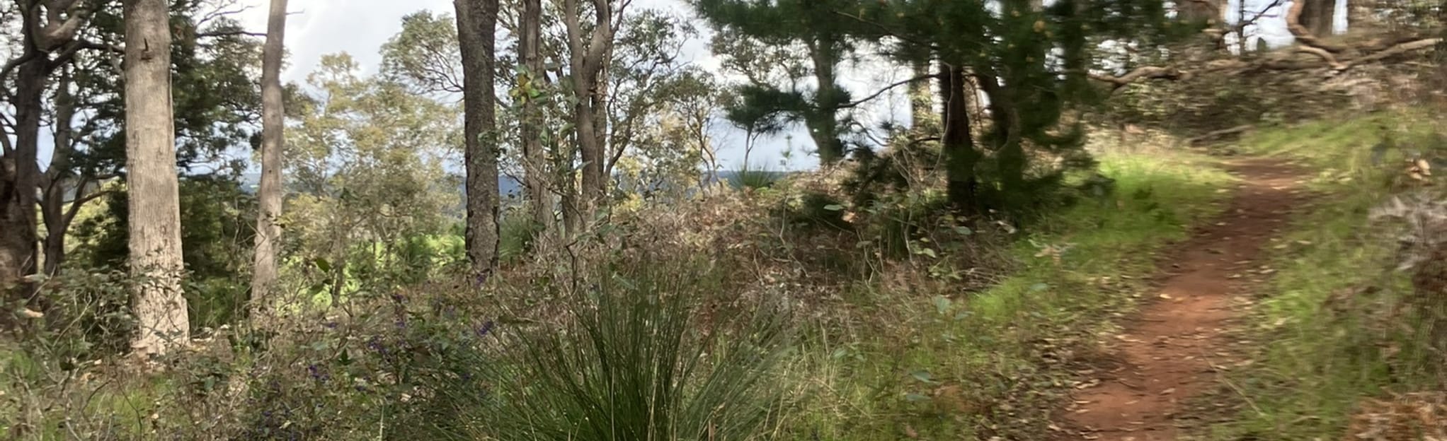 Nannup MTB Trails, Western Australia, Australia - 9 Reviews, Map ...