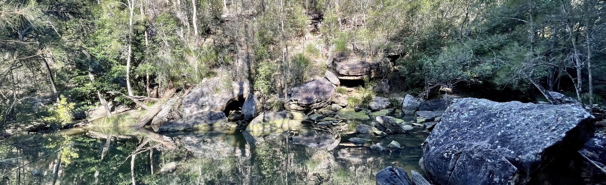 St Ives Chase - North Turramurra Bush Trail: 30 Reviews, Map - New ...