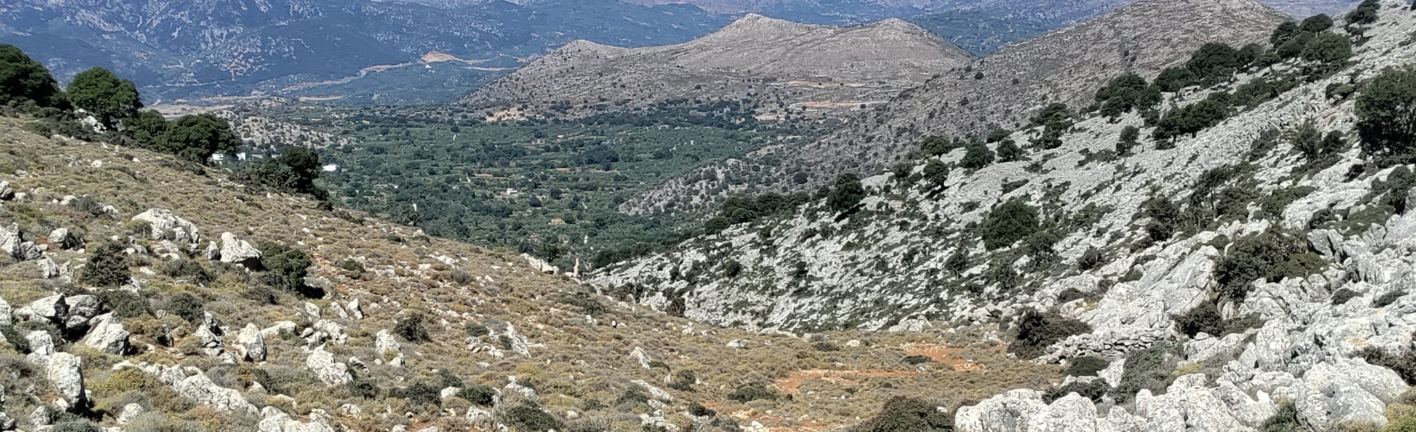 Krasi, Selena, Krasi, Crete, Greece - 27 Reviews, Map | AllTrails