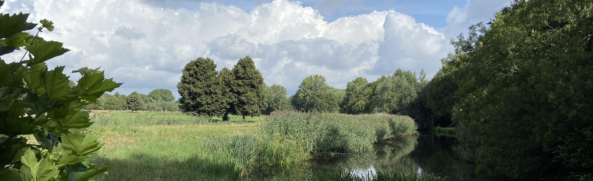 Ommoord - Hoge Bergse Bos, South Holland, Netherlands - 9 Reviews, Map ...