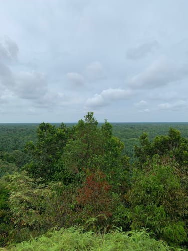 2023 Best 10 Trails and Hikes in Batu Pahat | AllTrails