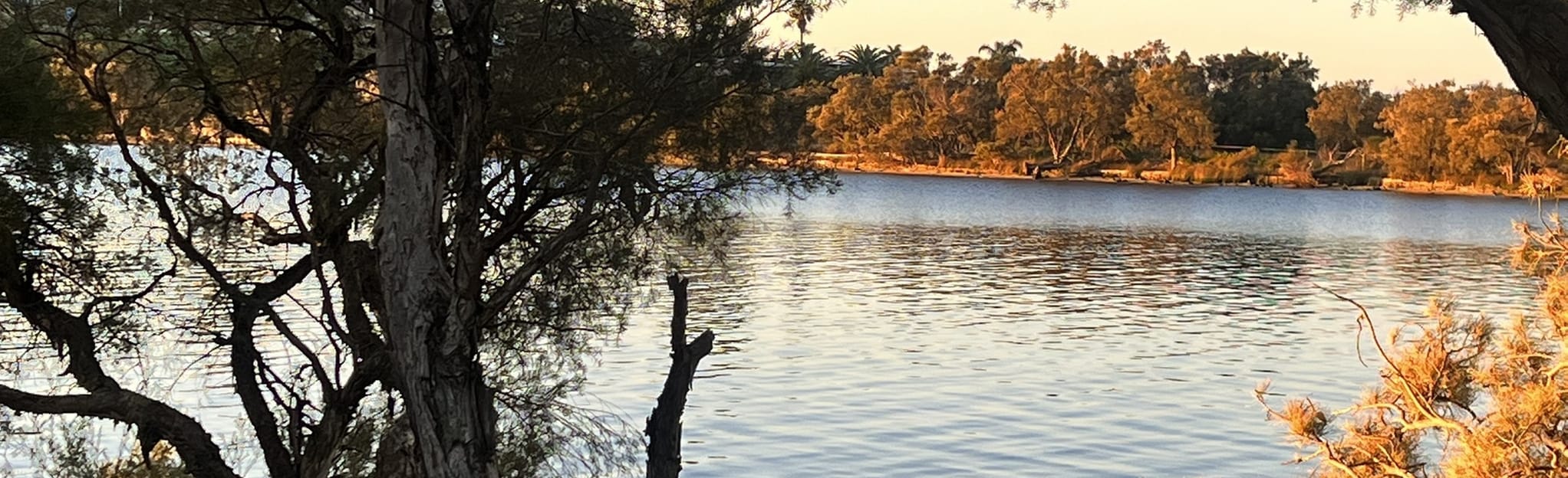 Shelley Foreshore to Bull Creek: 62 Reviews, Map - Western Australia ...