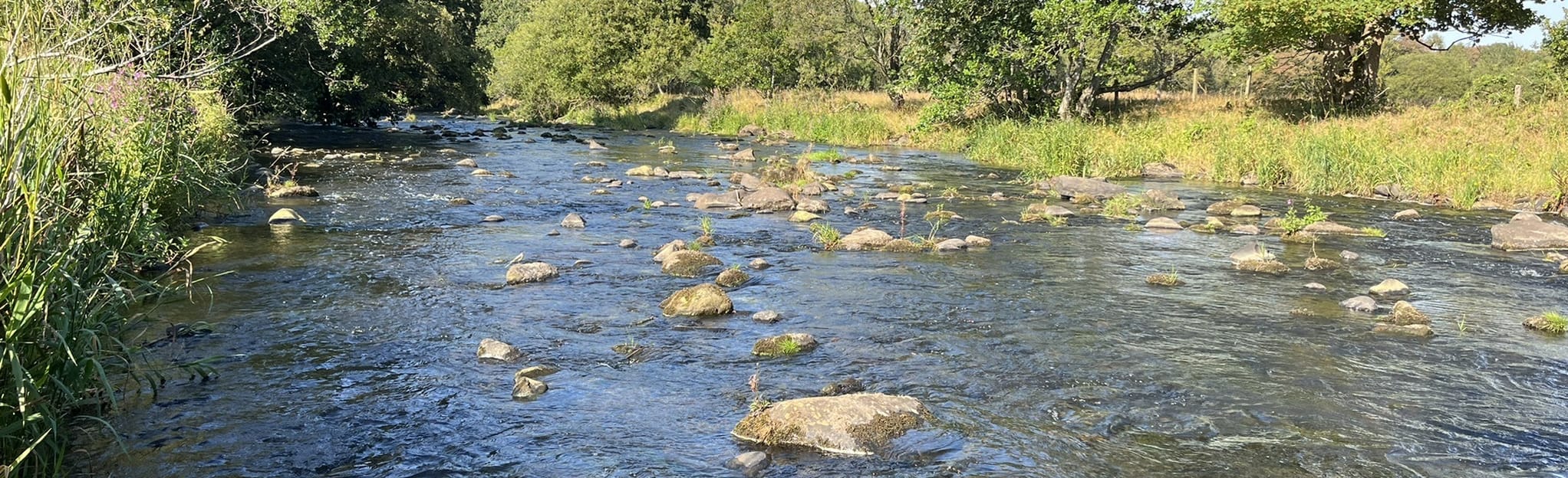 Muravonside Country Park Extended Circular, West Lothian, Scotland - 47 ...