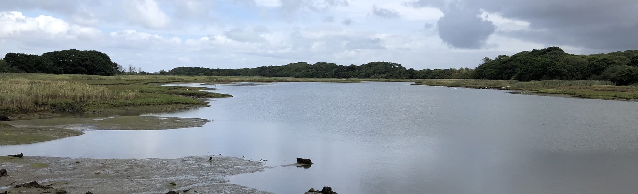 Colwell Totland Freshwater Bay Walk - Isle of Wight, England | AllTrails