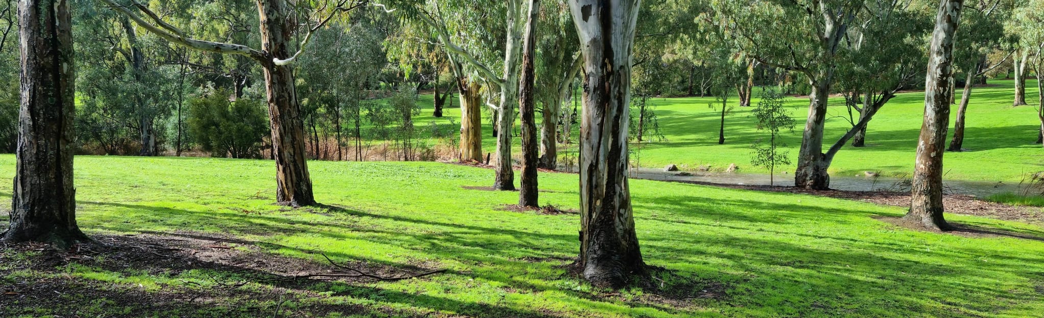 River Torrens Linear Reserve Loop, South Australia, Australia - 41 ...