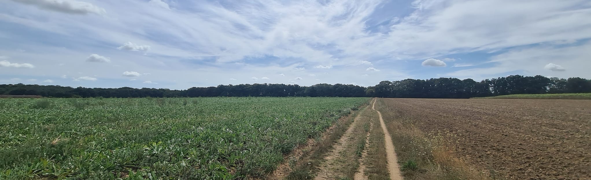 Rotselaar - Pellenberg: 48 foto's - Vlaams-Brabant, België | Wandelen ...