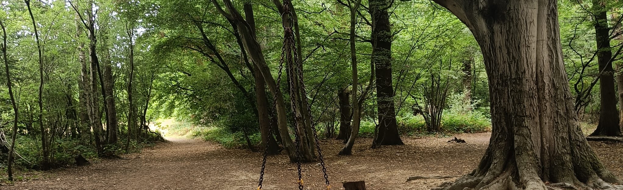 Alsa Wood - Aubrey Buxton Circular: 8 Fotos - Hertfordshire, England ...