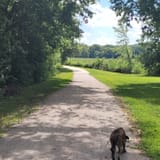 Little Blue Trail, Missouri - 637 Reviews, Map | AllTrails