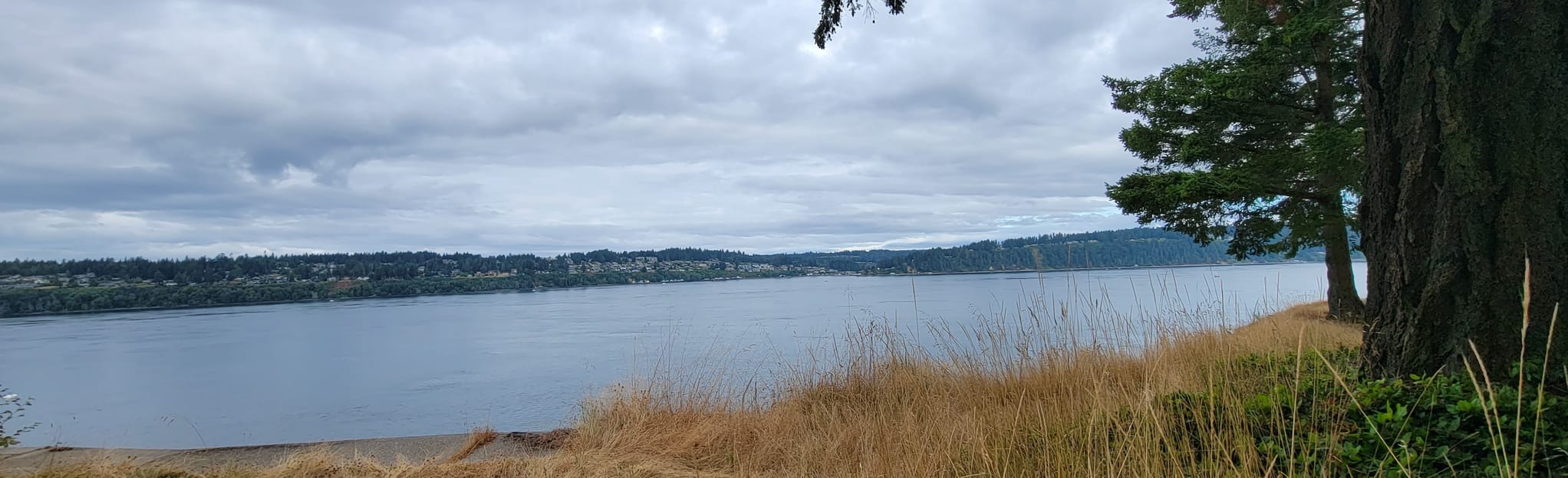 Dalco Passage Viewpoint via Outside Blue and Inside Yellow Loop: 11 ...