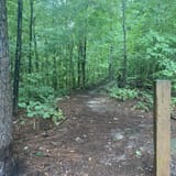 Trail of the Muscogee, Georgia - 481 Reviews, Map | AllTrails