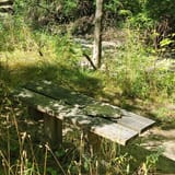 Tanglewood Nature Center - Personius Woods, New York - 78 Reviews, Map ...