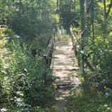 Tanglewood Nature Center - Personius Woods, New York - 78 Reviews, Map ...