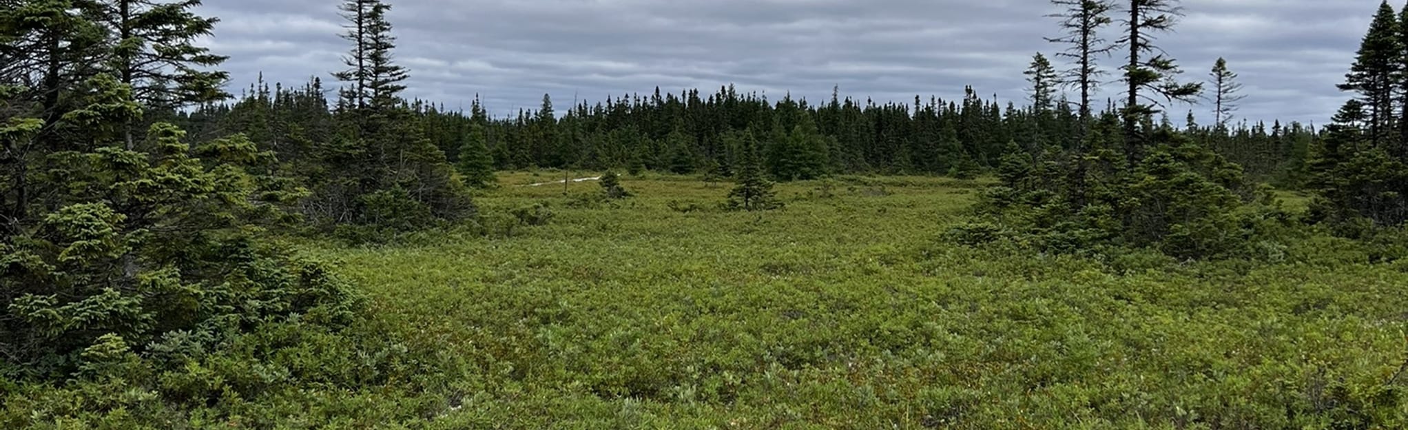 T'Railway Provincial Park: Gander - Glenwood, Newfoundland and Labrador ...