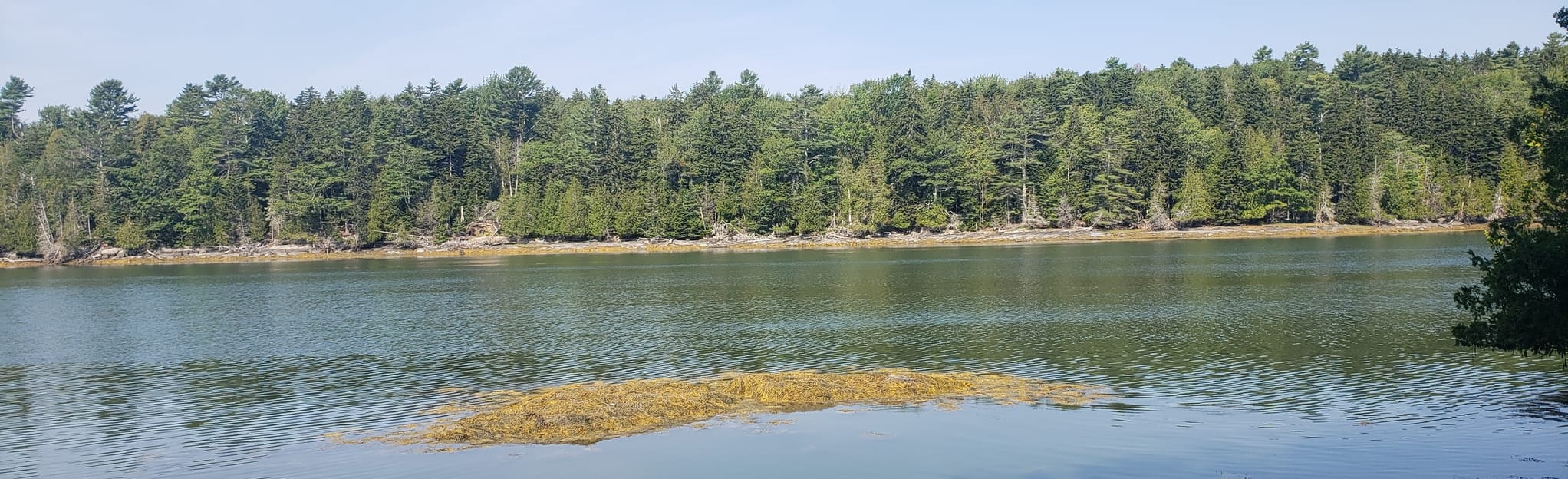 Devil's Back Trail: West Side, Maine - 110 Reviews, Map | AllTrails
