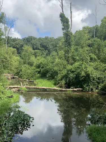 Best Hikes and Trails in Rose Lake State Wildlife Area | AllTrails