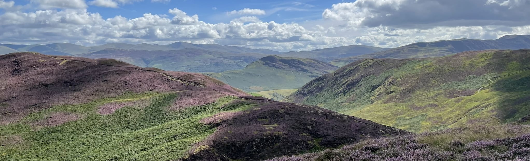 Causey Pike Circular: 38 Reviews, Map - Cumbria, England | AllTrails