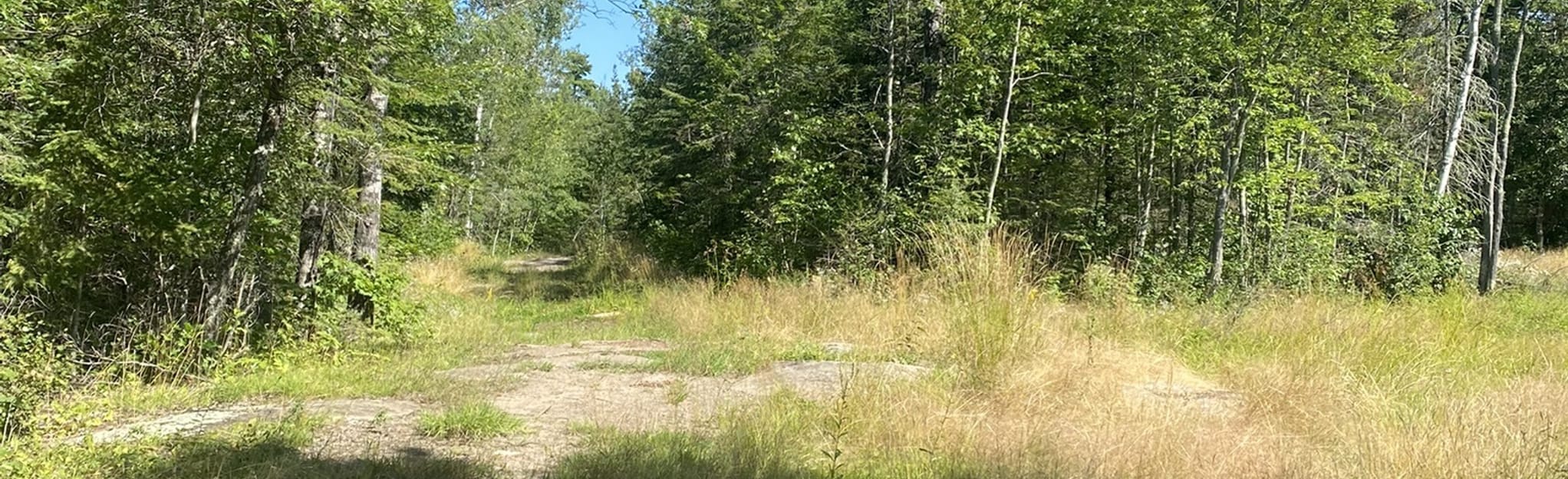 Rocky Inlet Loop: 7 Reviews, Map - Ontario, Canada | AllTrails