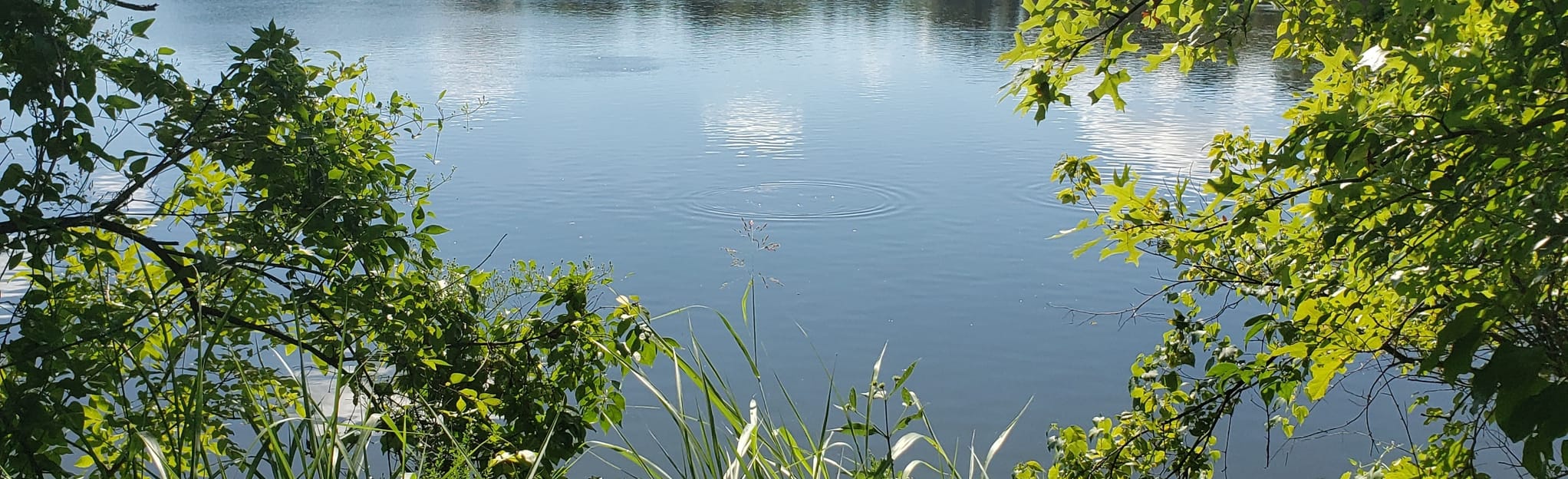 Meramec Greenway to Simpson Park Lake: 470 Reviews, Map - Missouri ...