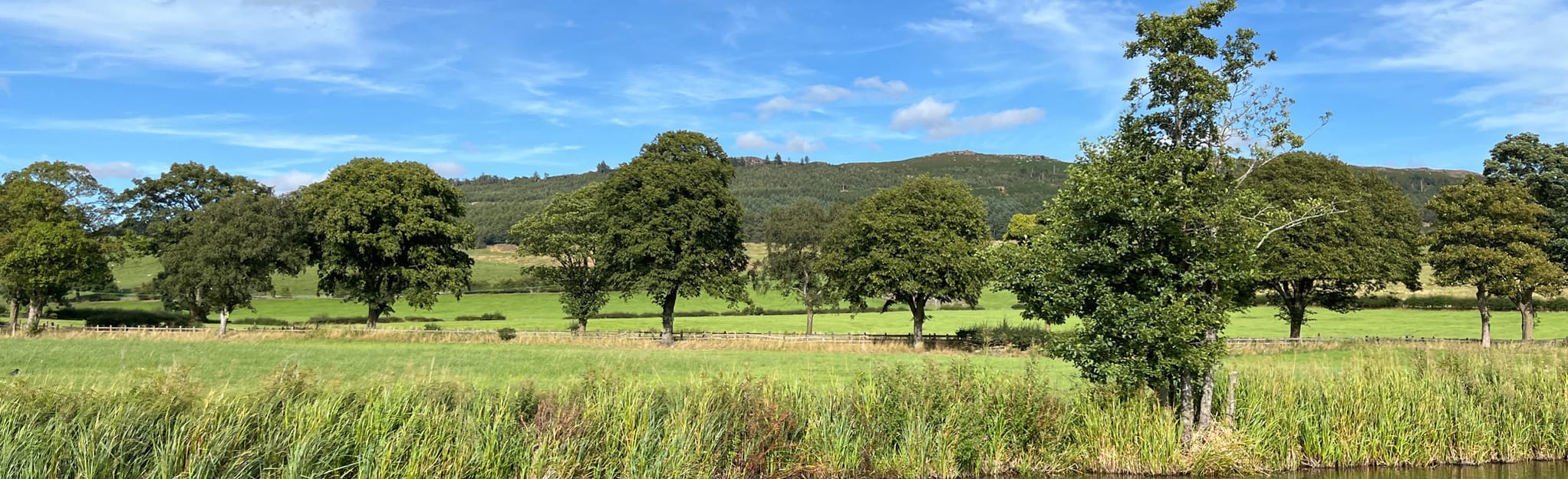 Sharp Haw - Flasby - Gargrave Circular: 14 Reviews, Map - North ...