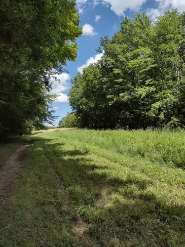 Best Hikes and Trails in Chestnut Ridge Park | AllTrails