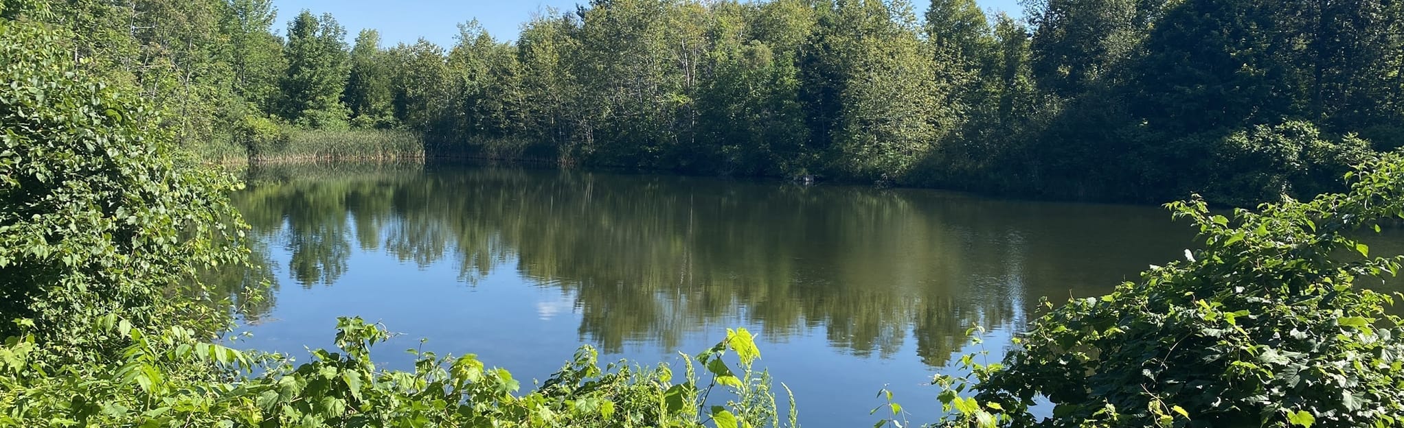 Pine River and Bruce Trail Loop, Ontario, Canada - 149 Reviews, Map ...