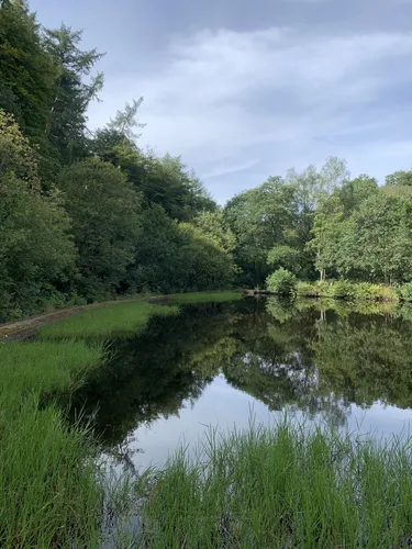 10 Best Trails, Walks, and Paths in Hebden Bridge | AllTrails