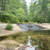 Carbuncle Pond and Moosup River Trail, Rhode Island - 261 Reviews, Map ...