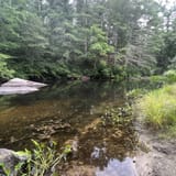 Carbuncle Pond and Moosup River Trail, Rhode Island - 261 Reviews, Map ...