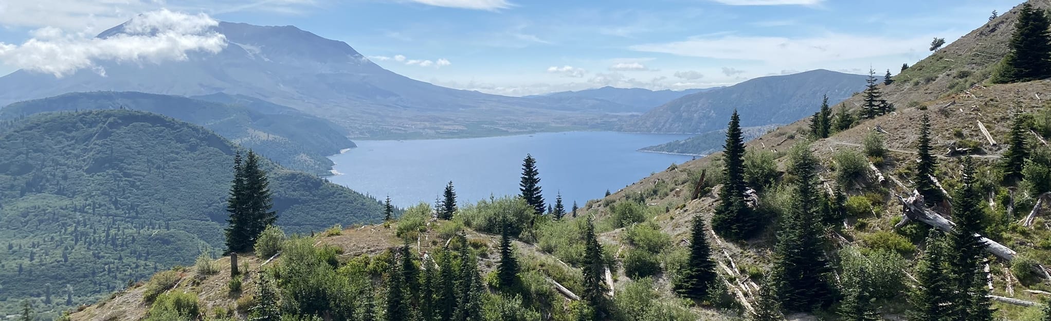 Independence Pass Interpretive Trail, Washington - 15 Reviews, Map ...