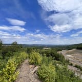 AOAA Green Trails West Loop, Pennsylvania - 46 Reviews, Map | AllTrails