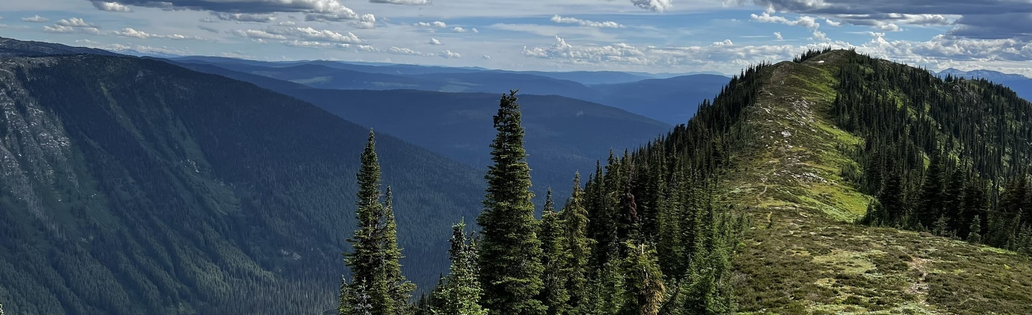 Wavy Ridge Trail, British Columbia, Canada - 9 Reviews, Map | AllTrails