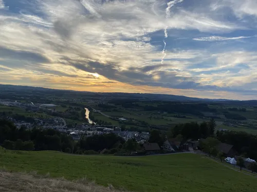 Best Forest Trails in Root | AllTrails