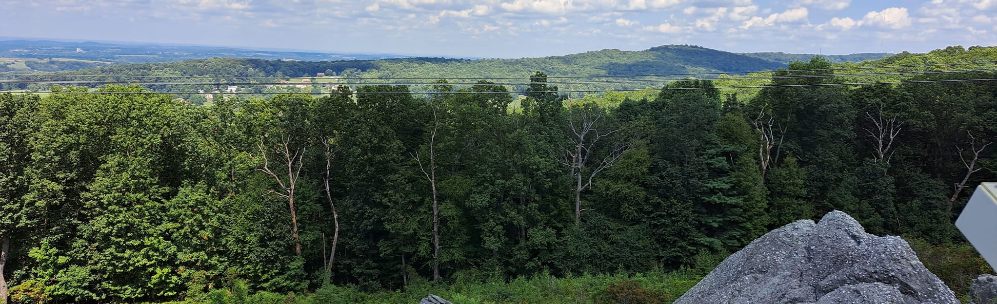 Rocky Ridge Trail 8: 259 Reviews, Map - Pennsylvania | AllTrails