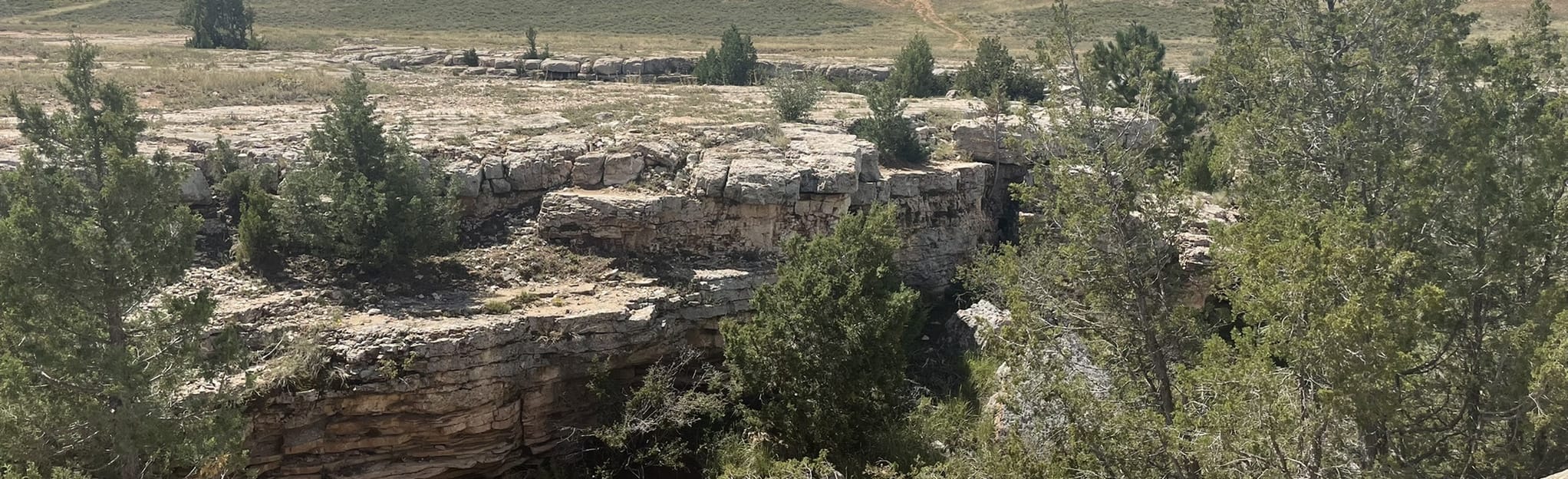 Lunch Lady Loop, Wyoming - 46 Reviews, Map | AllTrails