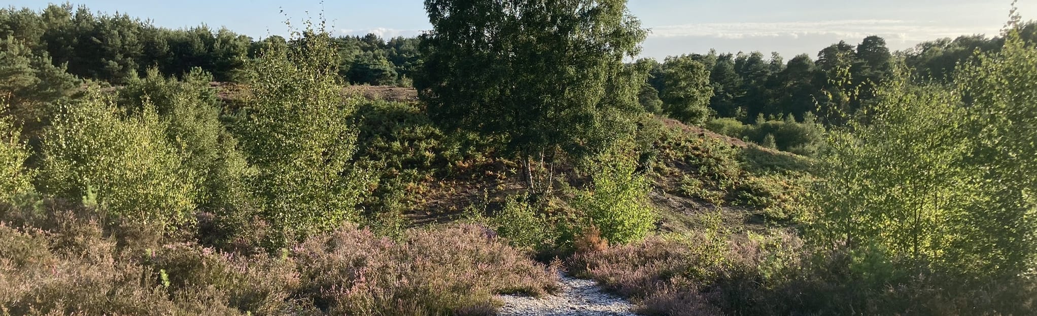 Castle Bottom and Vigo Circular, Hampshire, England - 252 Reviews, Map ...