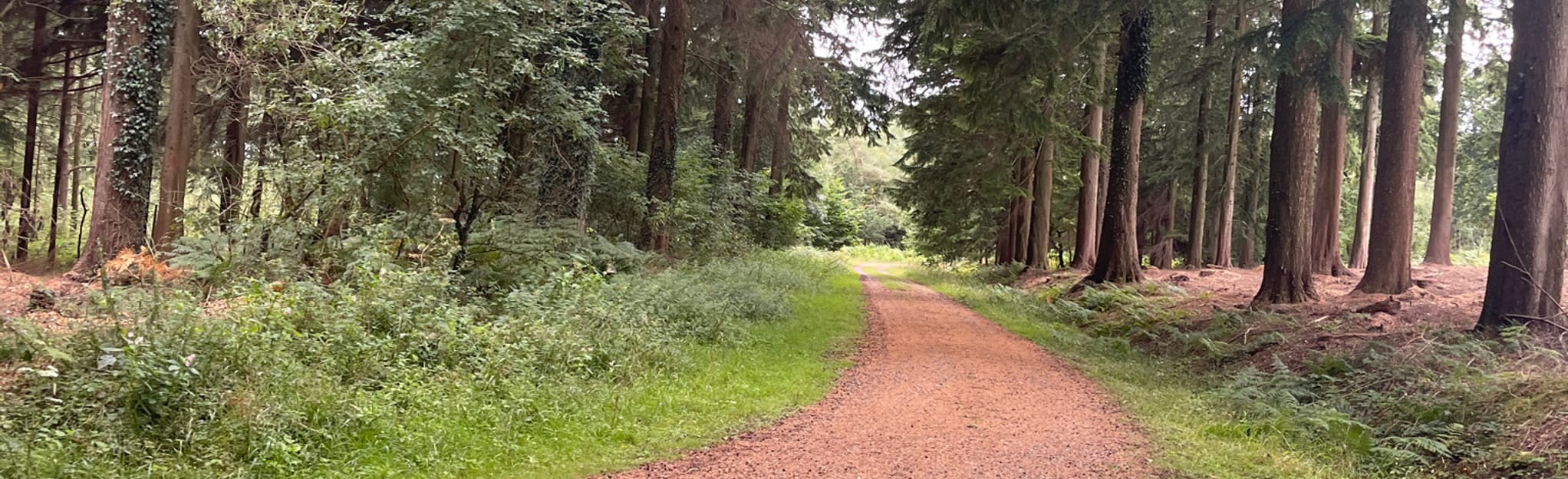 Wet Meadow Circular, Monmouthshire, Wales - 21 Reviews, Map | AllTrails