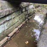 Conewago Recreational Trail, Pennsylvania - 699 Reviews, Map | AllTrails