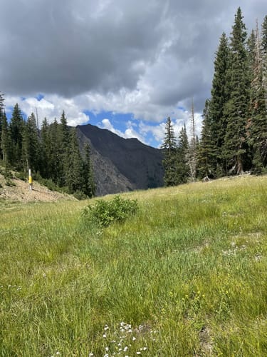 2023 Best Views Trails in Snowbird Ski Resort | AllTrails