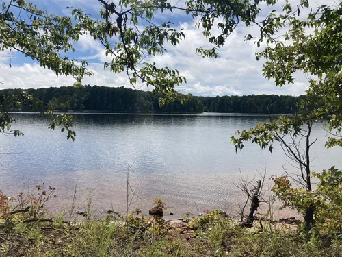 Best Hikes and Trails in Forest Ridge Park | AllTrails