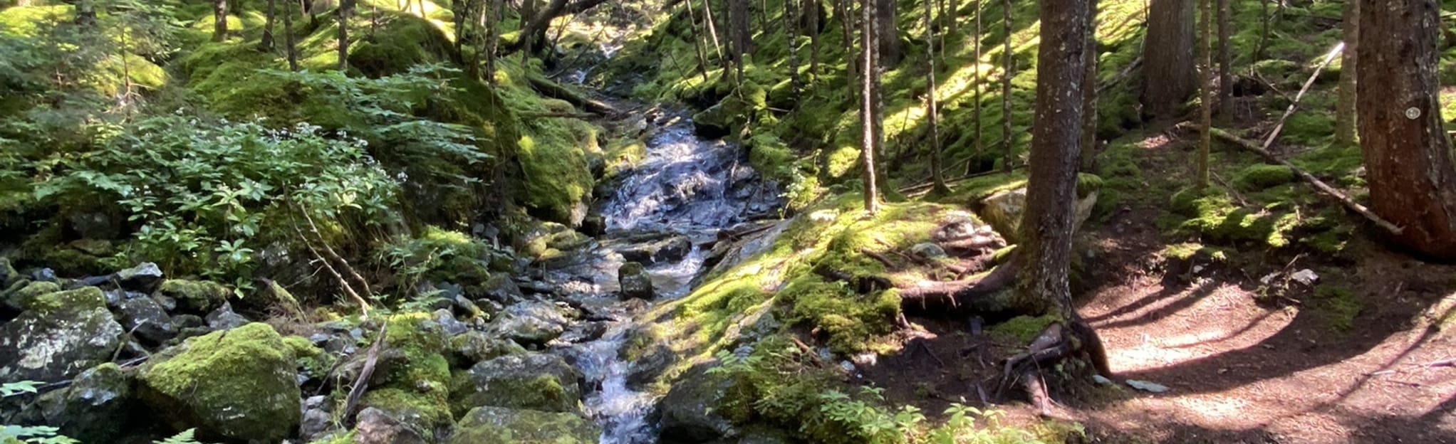 Telegraph Brook via Fundy Footpath, New Brunswick, Canada - 16 Reviews ... Telegraph Brook via Fundy Footpath, New Brunswick, Canada - 16 Reviews ...