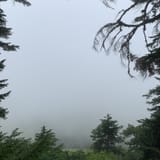 Johnson Ridge Trail, Washington - 254 Reviews, Map | AllTrails