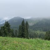 Johnson Ridge Trail, Washington - 254 Reviews, Map | AllTrails