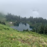 Johnson Ridge Trail, Washington - 254 Reviews, Map | AllTrails