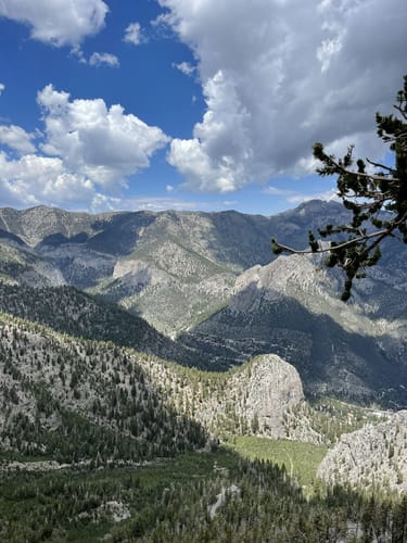 2023 Best 10 Long Trails in Mount Charleston Wilderness | AllTrails