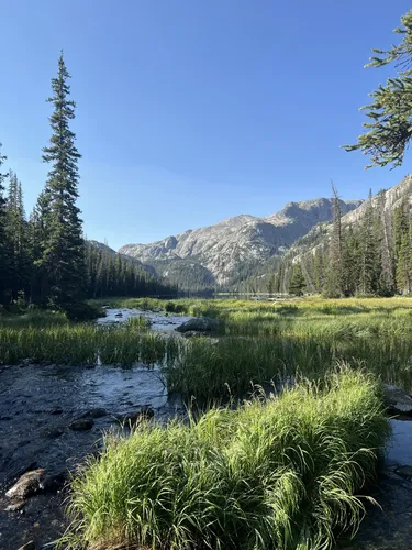 Best Backpacking Trails in Cloud Peak Wilderness | AllTrails