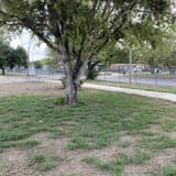 Poteet Canyon Park Walking Path, Texas - 2 Reviews, Map | AllTrails